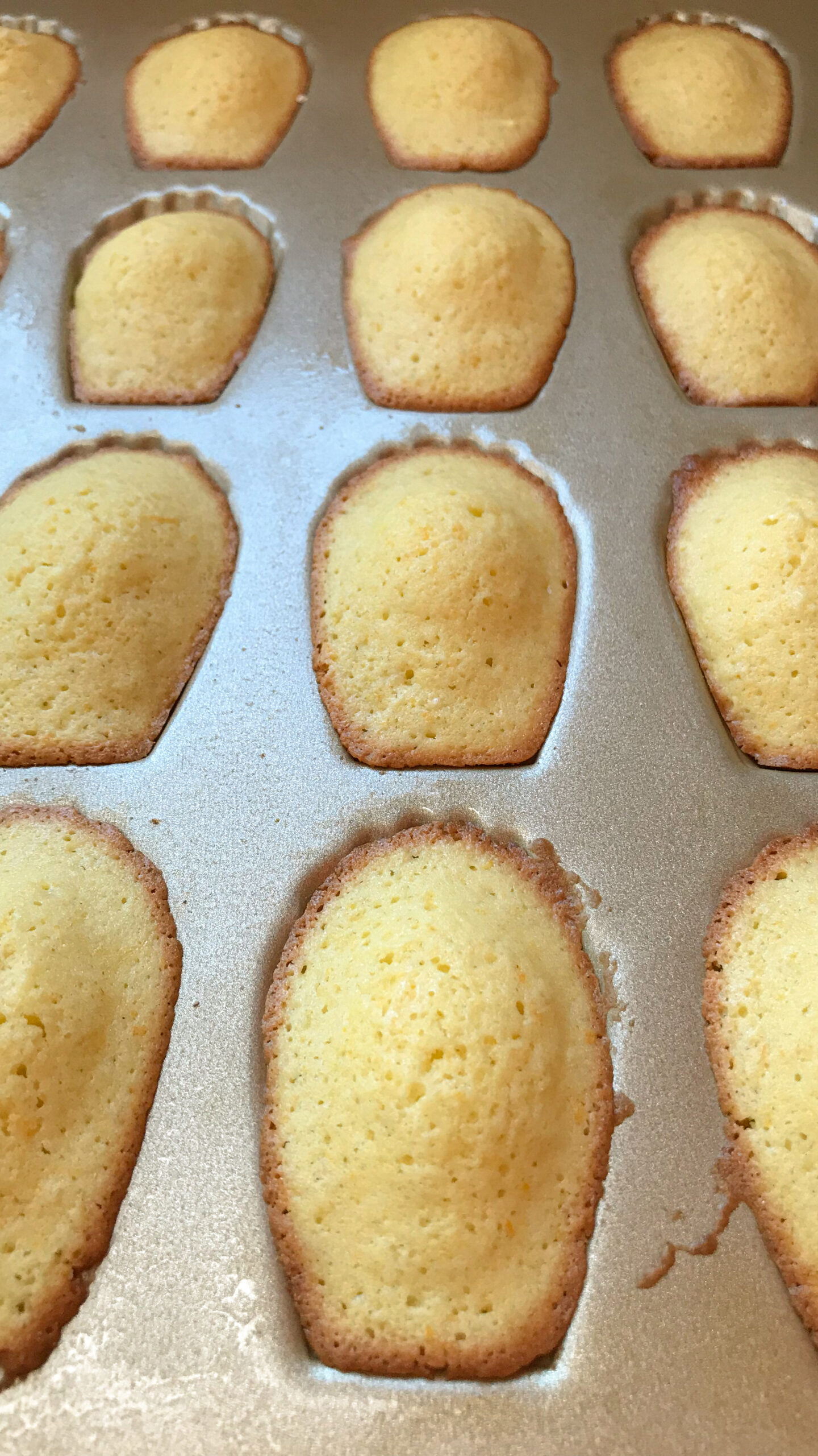 Classic Orange Madeleines: How to Bake The Perfect Sweet Treat